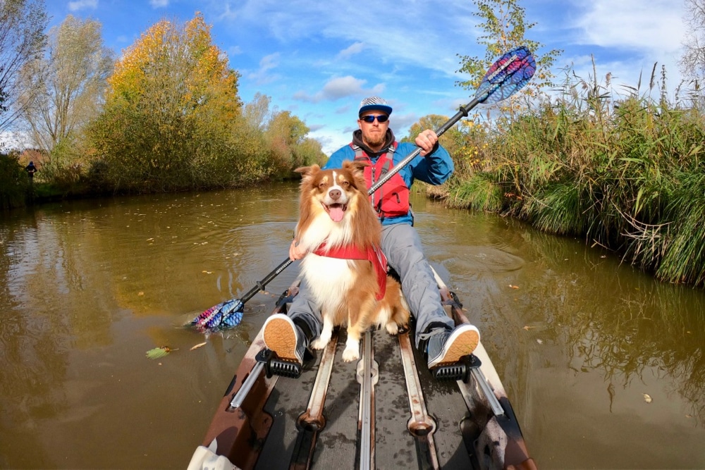 Learn How To Kayak With a Dog - Jackson Kayak