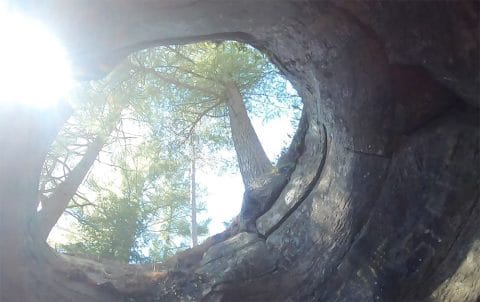 The Kettle River | Whitewater Kayaking Adventures - Jackson Kayak