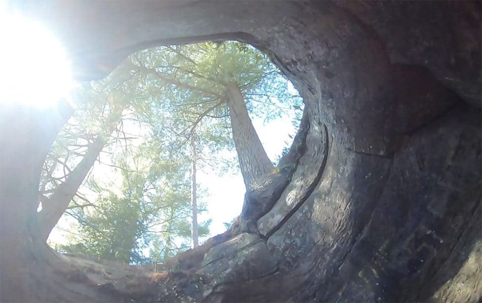 The Kettle River | Whitewater Kayaking Adventures - Jackson Kayak