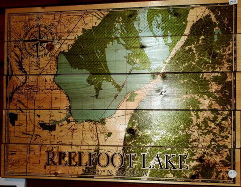 Destination: Reelfoot Lake - Jackson Kayak