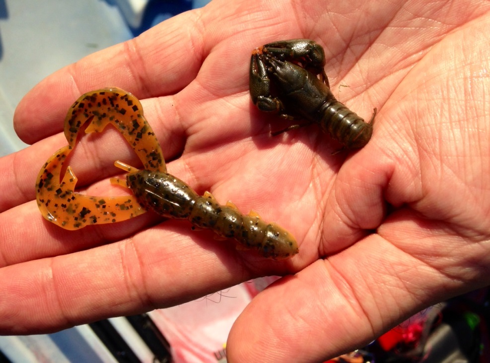 How to use Light weight Fishing Lures | Ultra-light – Ultra Bite ...